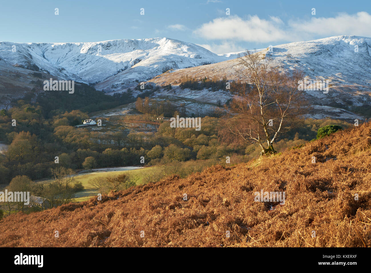 Loch dubh scotland hi-res stock photography and images - Alamy