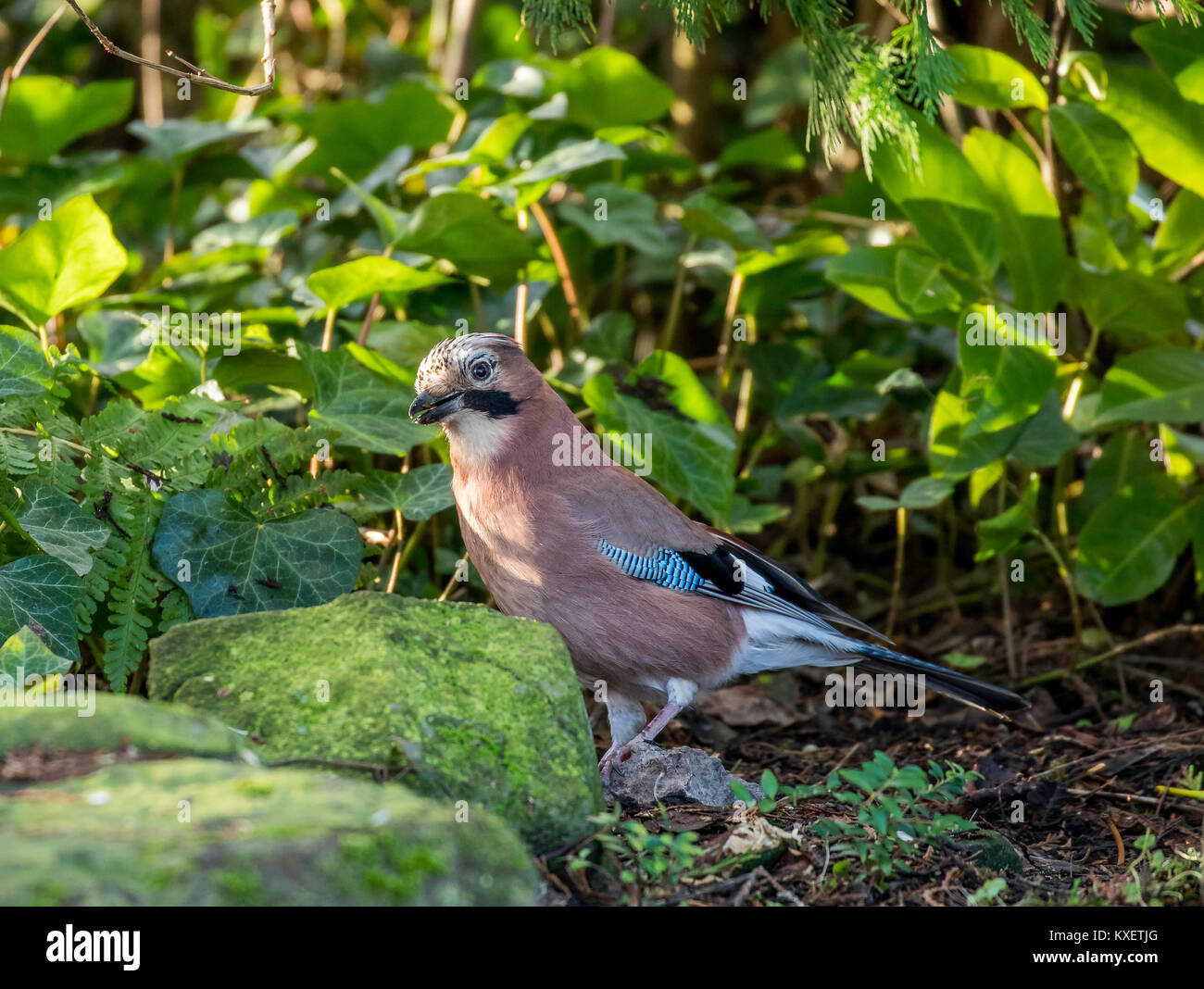 Jay gavin hi-res stock photography and images - Alamy