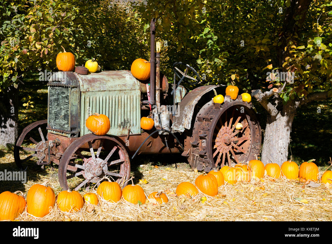 Antique tractor hi-res stock photography and images - Alamy