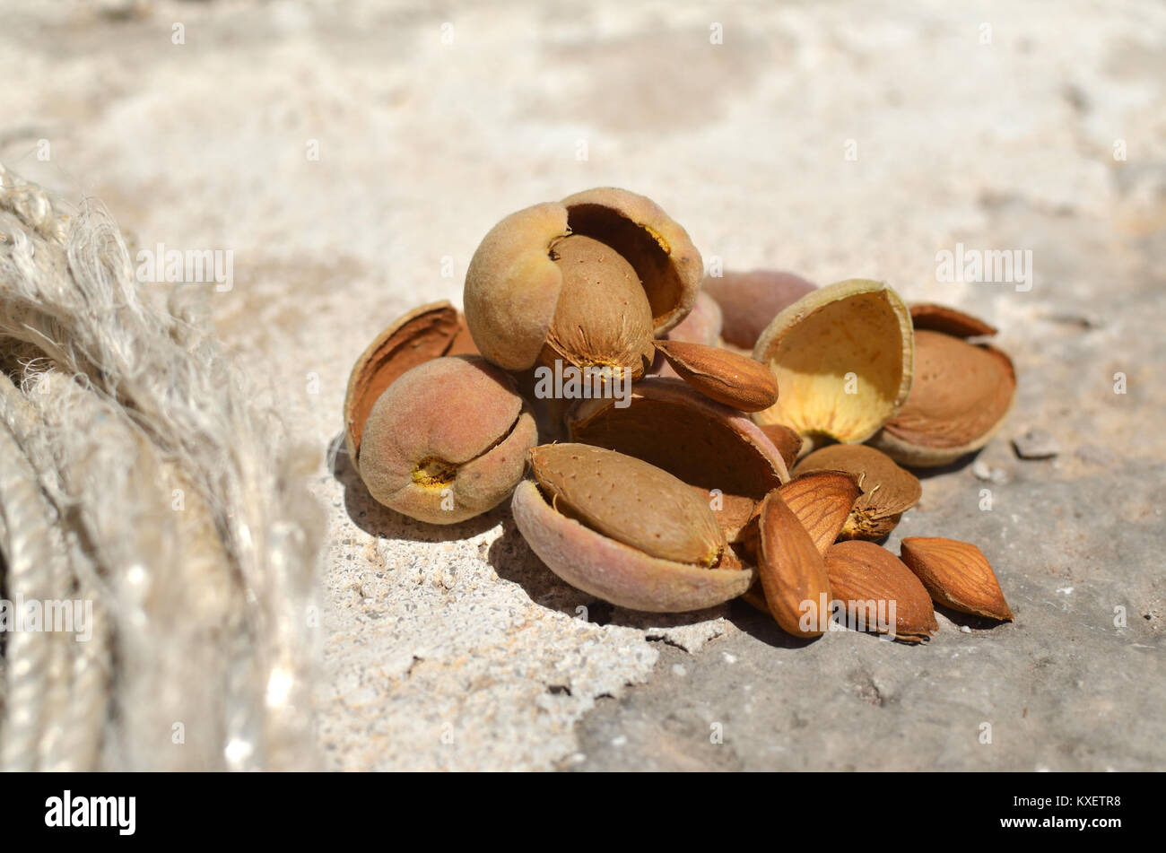 Bunch of broken shells of almonds on rough stone surface Stock Photo ...