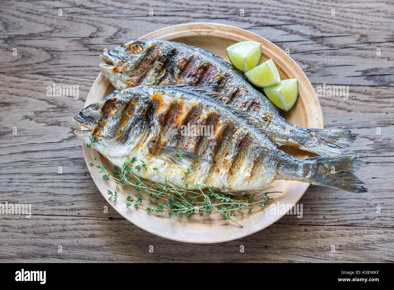 Dorade Royale Fish Stock Photo - Alamy