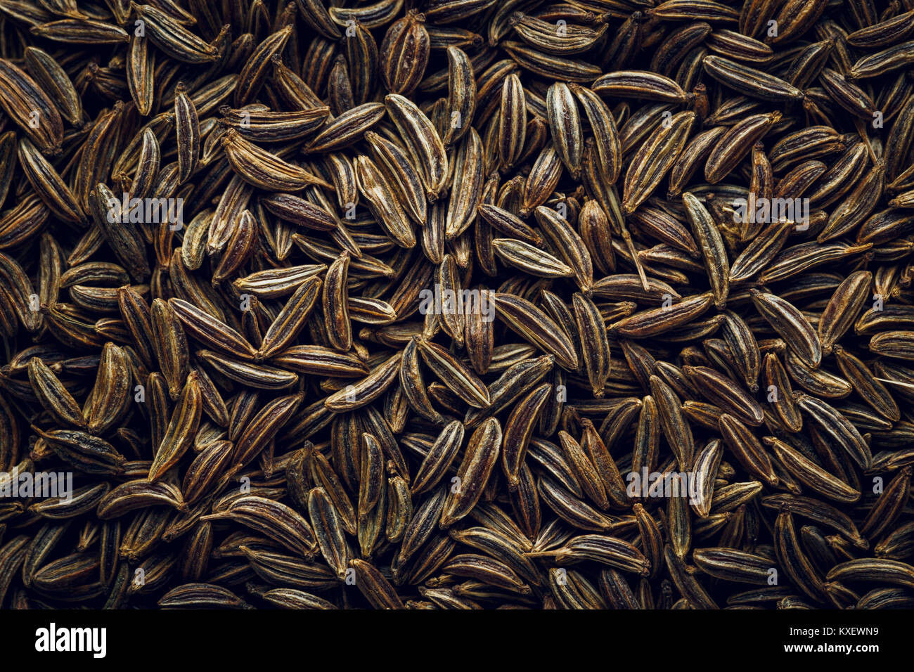 Macro background texture of cumin seeds. Top view Stock Photo - Alamy
