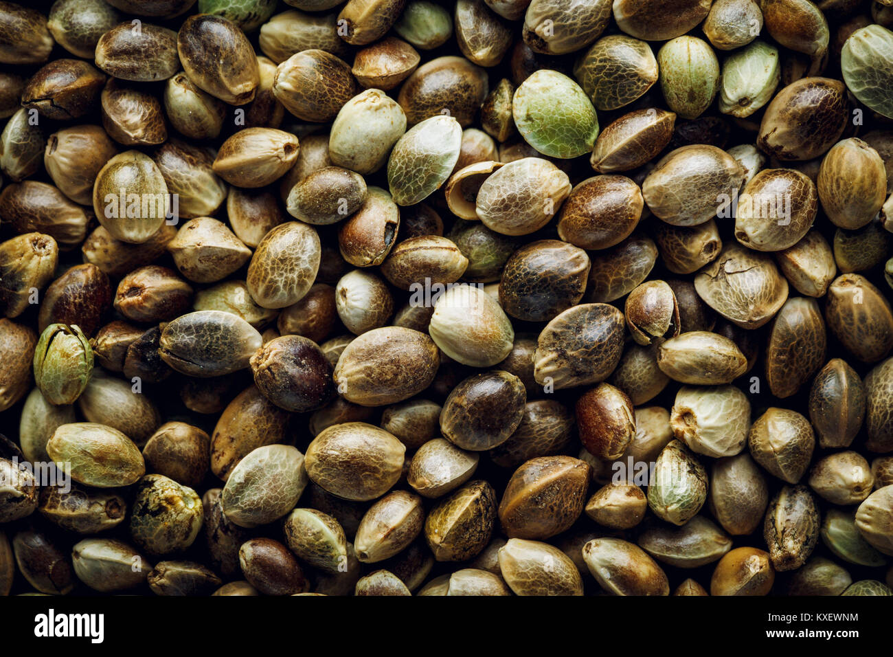 Hemp seeds macro background texture. Top view Stock Photo - Alamy