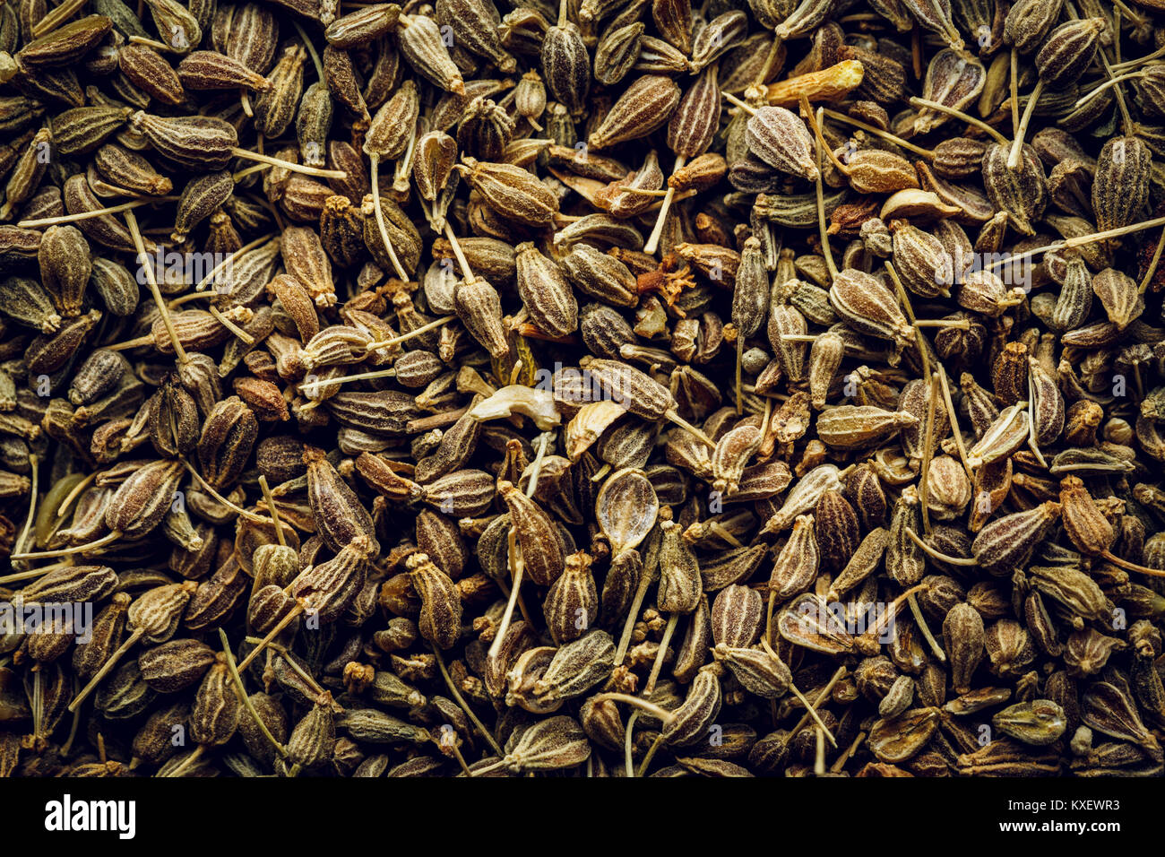 Dried anise seeds macro background texture. Top view Stock Photo - Alamy