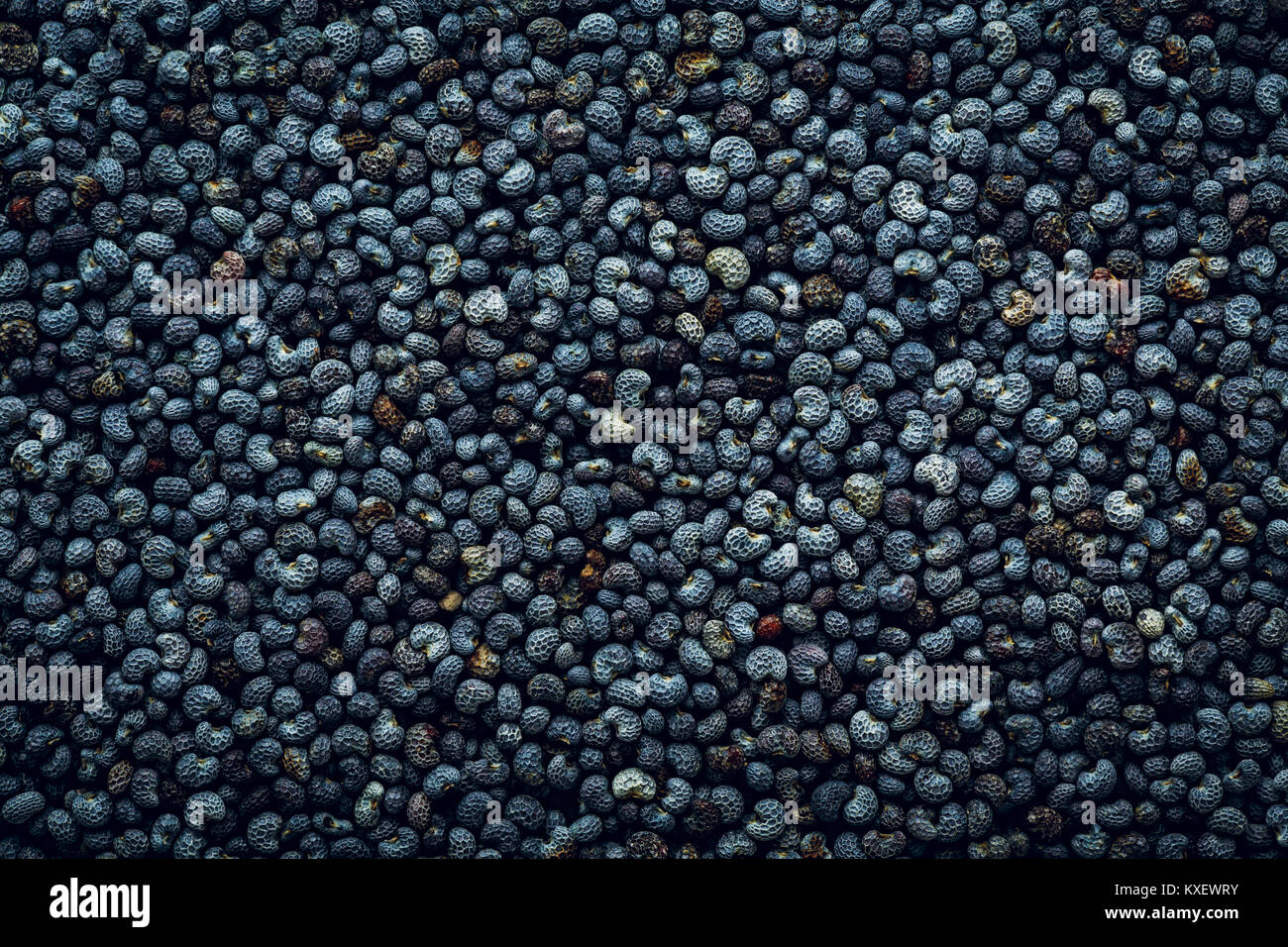 Poppy seeds macro background texture. Top view Stock Photo - Alamy