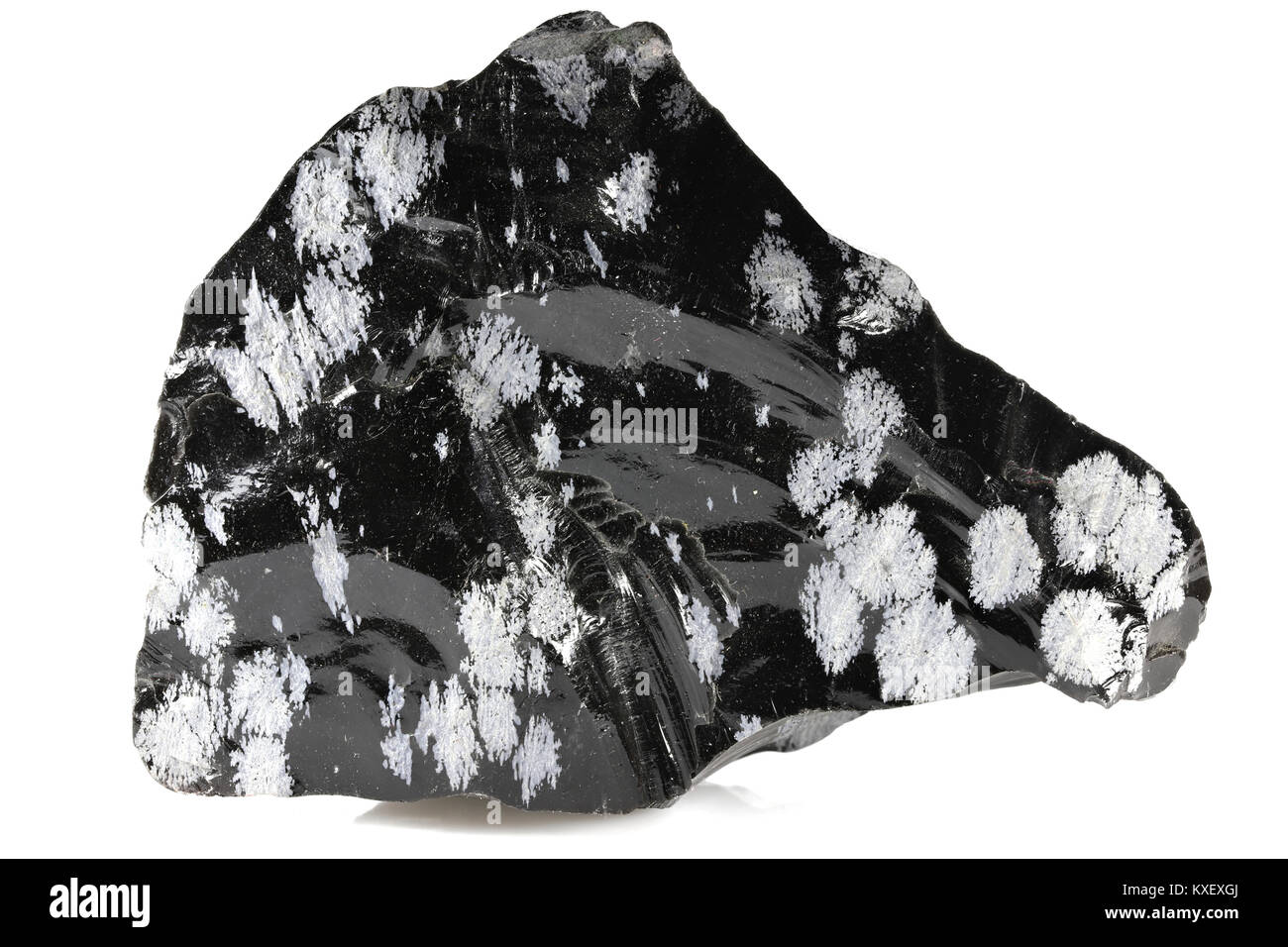 snowflake obsidian isolated on white background Stock Photo - Alamy