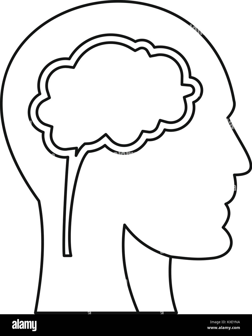 Human brain anatomy discovery Stock Vector Images - Alamy