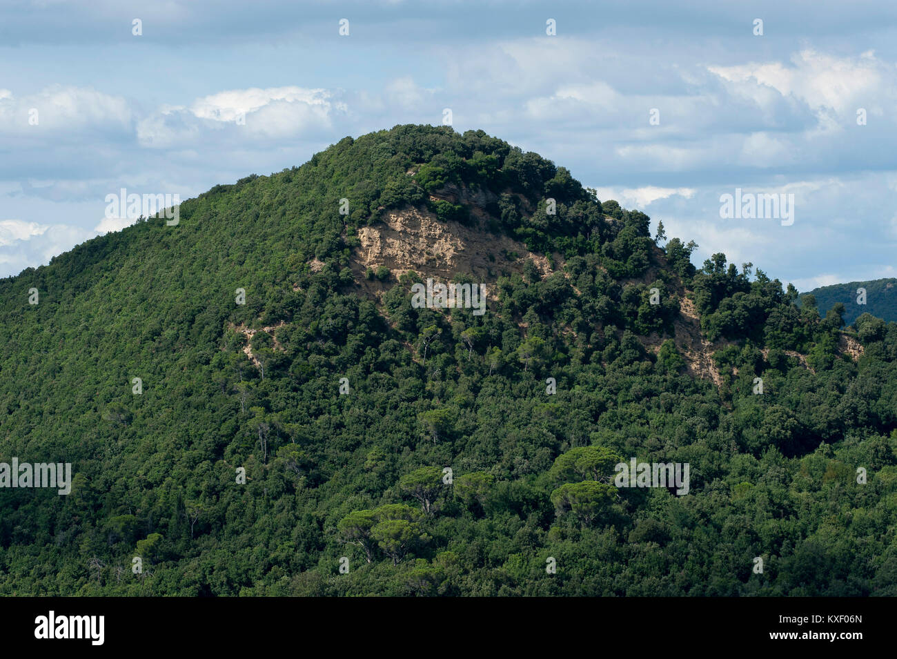 Landscape in Roncolla, Tuscany, Italy. 6 August 2016 © Wojciech Strozyk ...