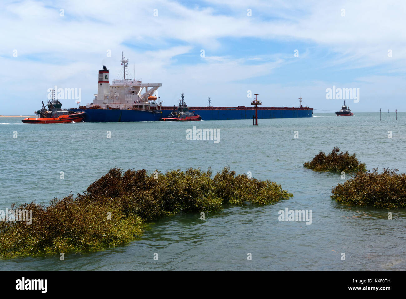 Alpha boat hi-res stock photography and images - Alamy