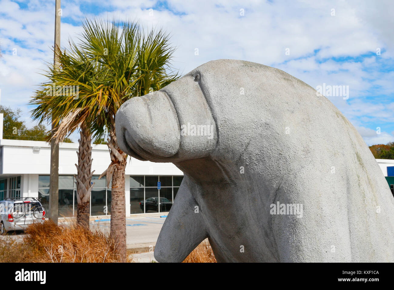A Manatee statue in front of the Crystal River, Florida visitors ...