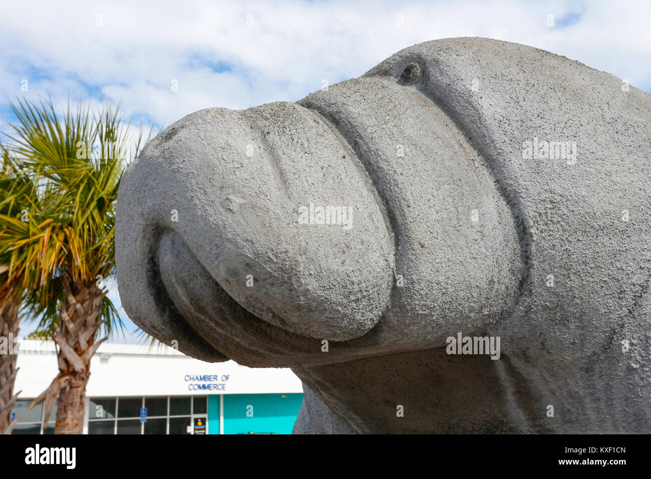 A Manatee statue in front of the Crystal River, Florida visitors ...
