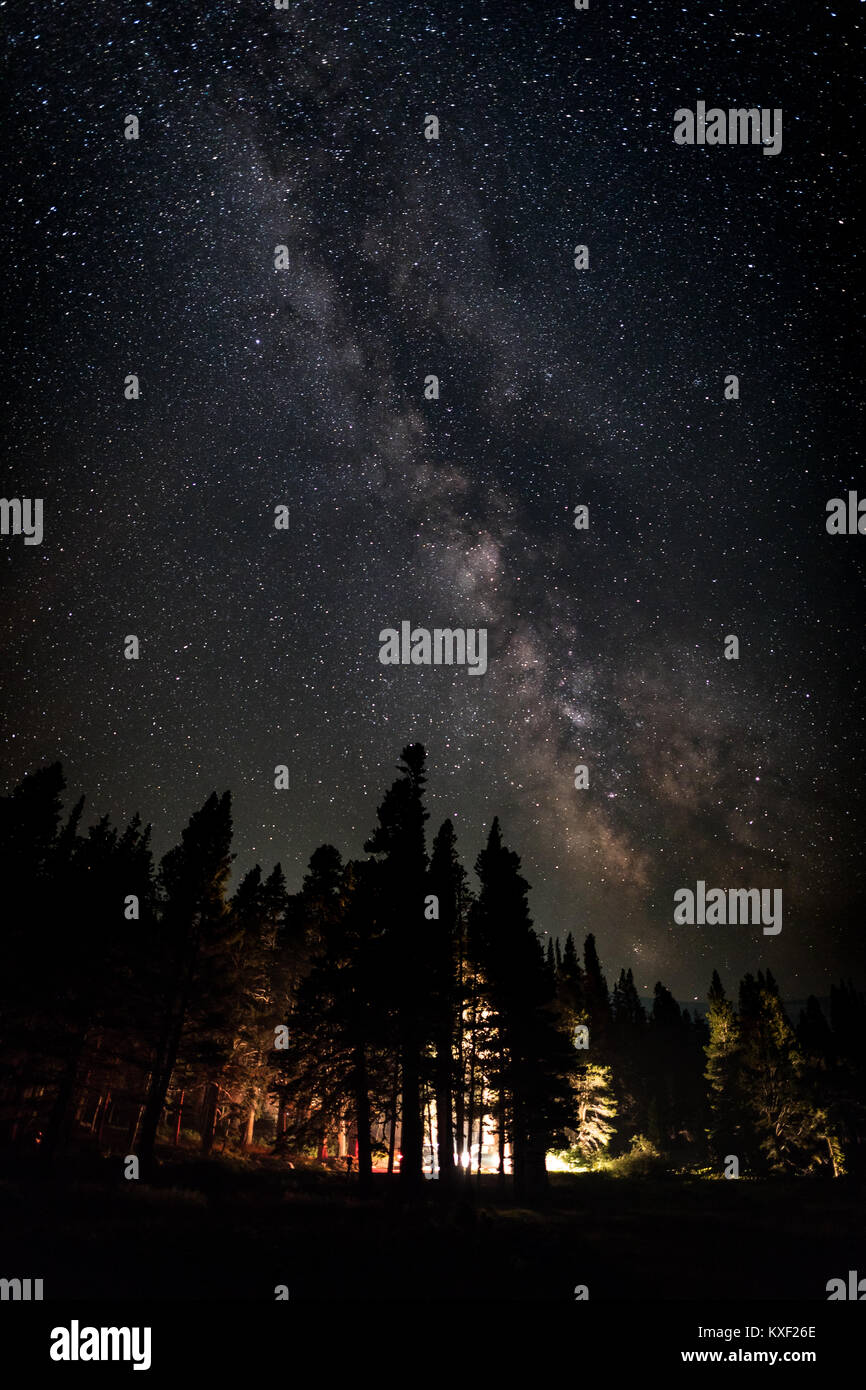 Campfires illuminate the trees in Trumbull Lake Campground while the ...