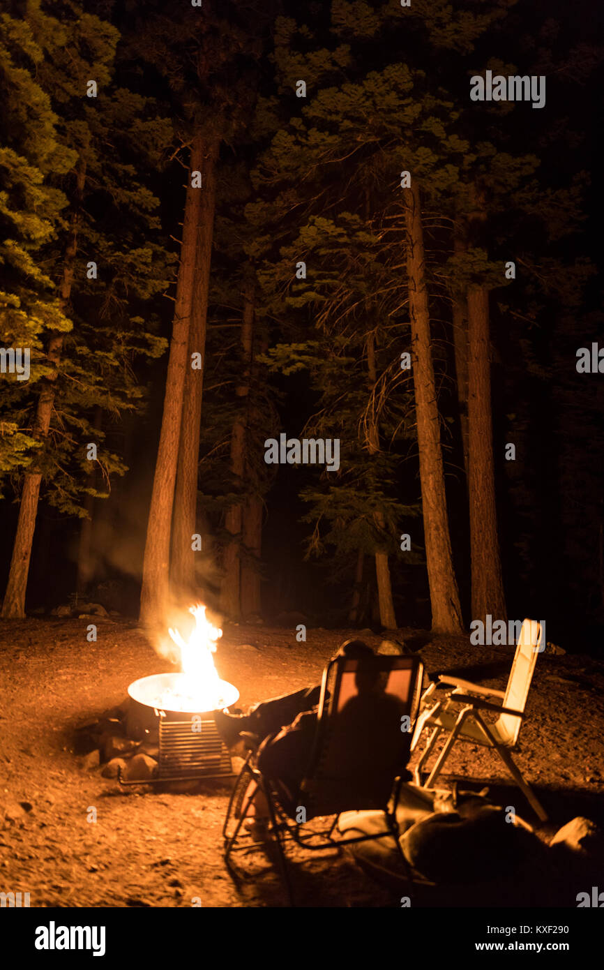 A camper watches the camp fire blaze under tall pine trees in Fallen ...