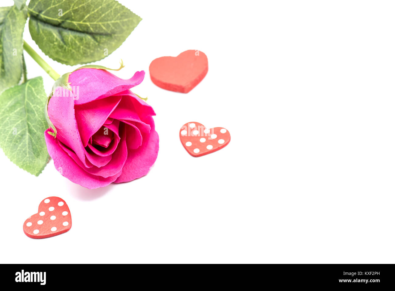 Red rose for Valentines day and Sweetest day, isolated on white ...