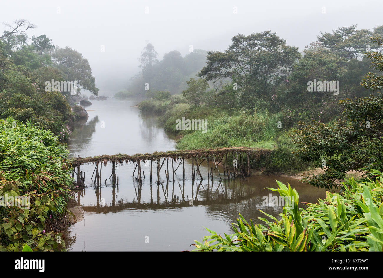 A primitive bridge across river in a foggy morning. Ranomafana National ...