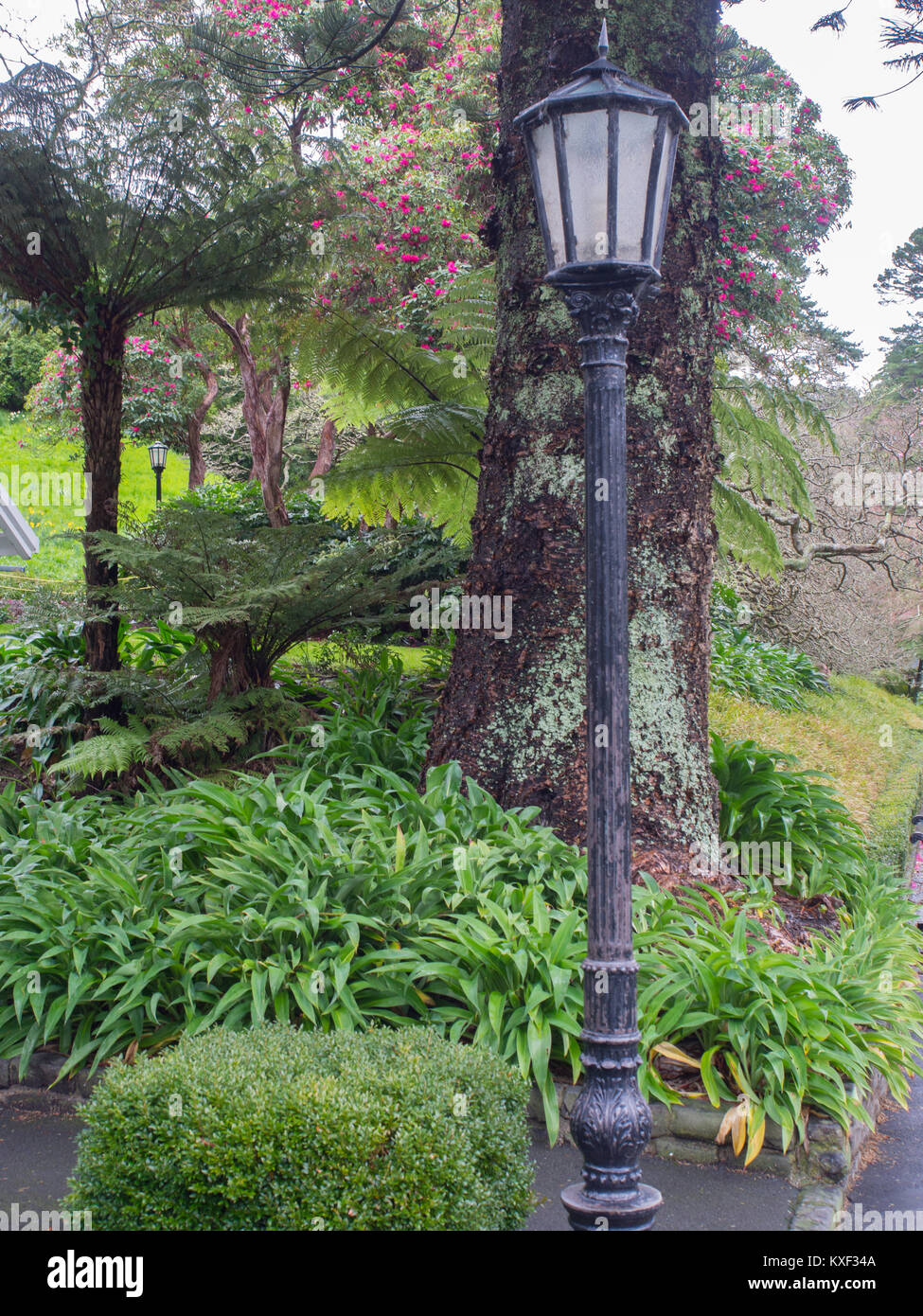 Botanical Gardens Lighting Stock Photo - Alamy