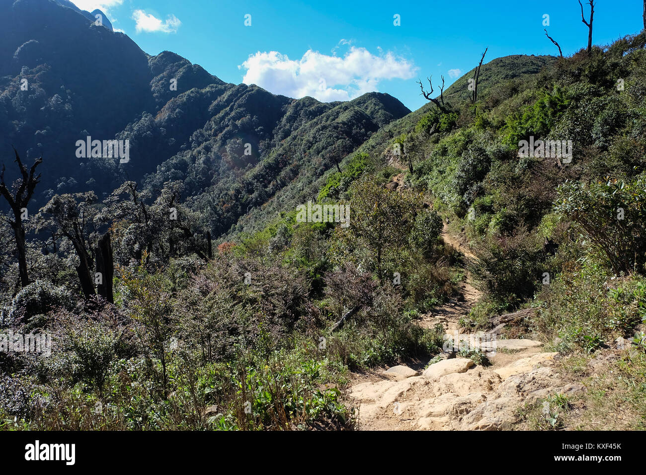 The summit beautiful landscape of Fansipan or Phan Xi Pang mountain the ...