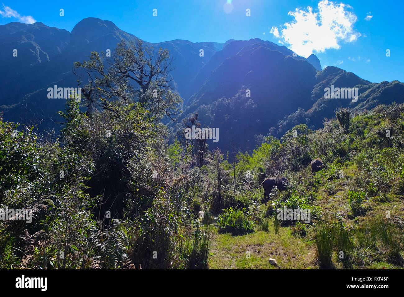 The summit beautiful landscape of Fansipan or Phan Xi Pang mountain the ...