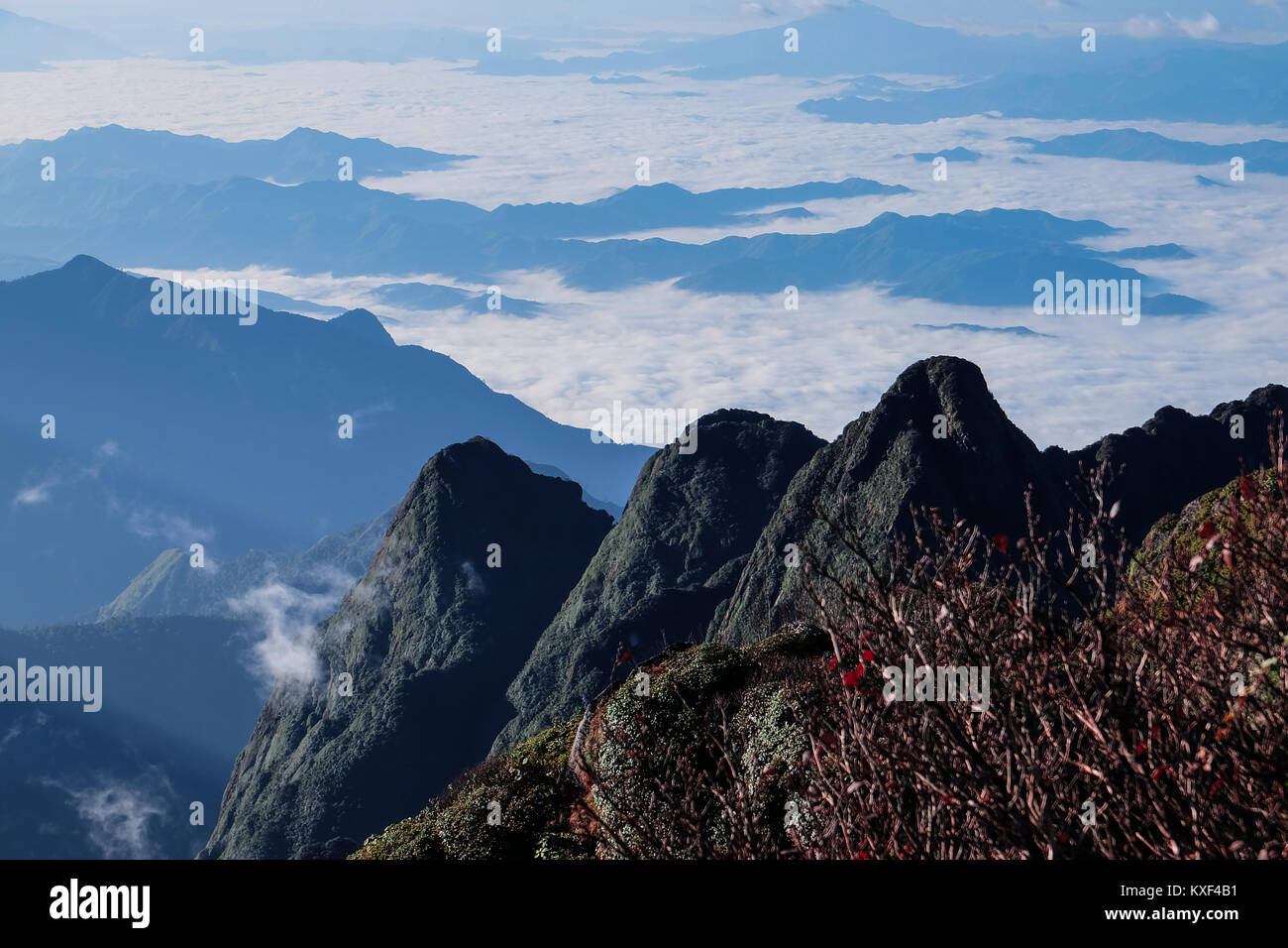 The summit beautiful landscape of Fansipan or Phan Xi Pang mountain the ...