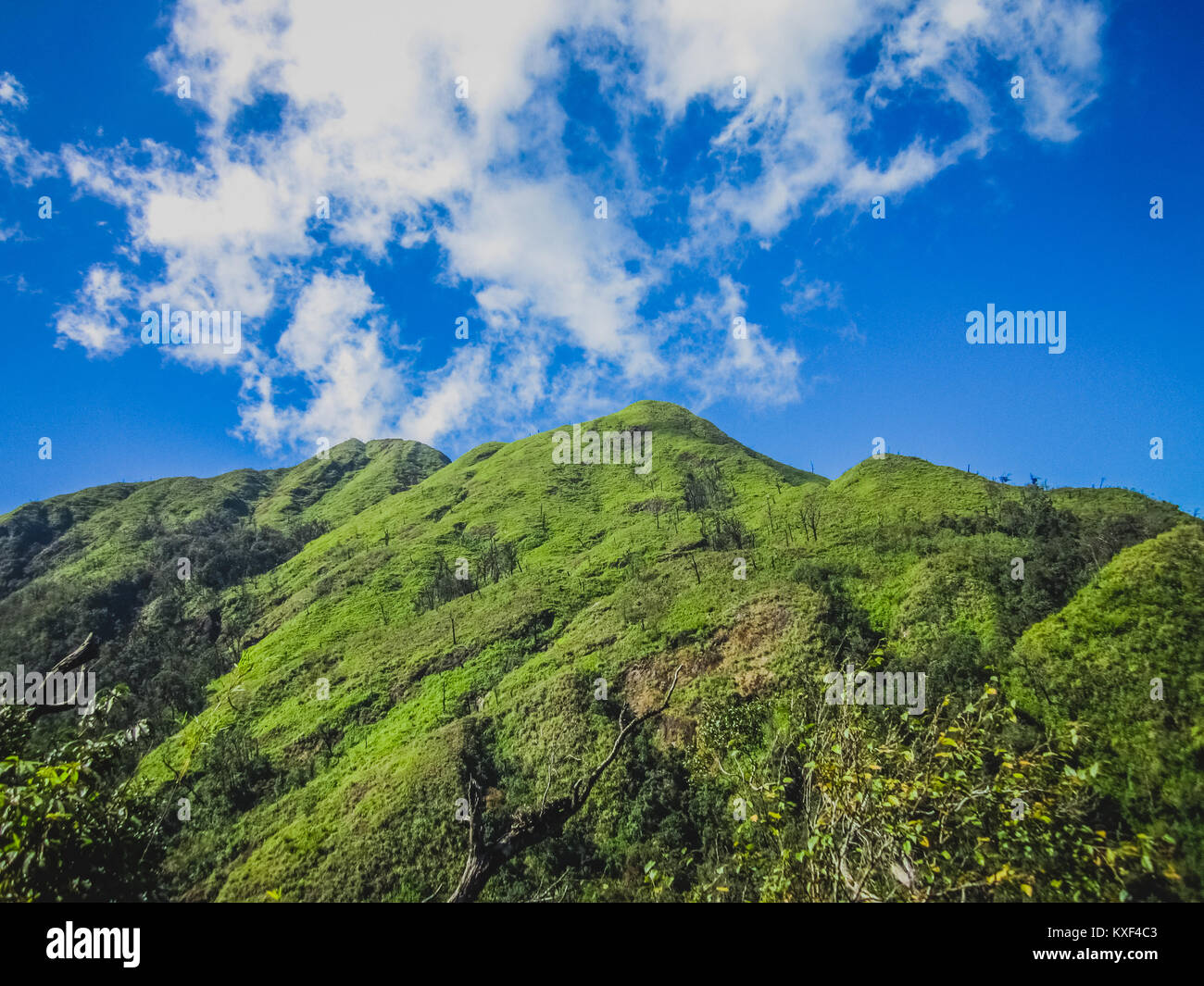 The summit beautiful landscape of Fan Si Pan or Phan Xi Pang mountain ...