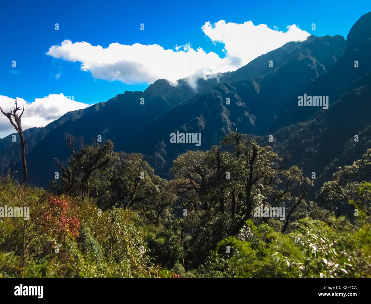 Fan si pan hi-res stock photography and images - Alamy