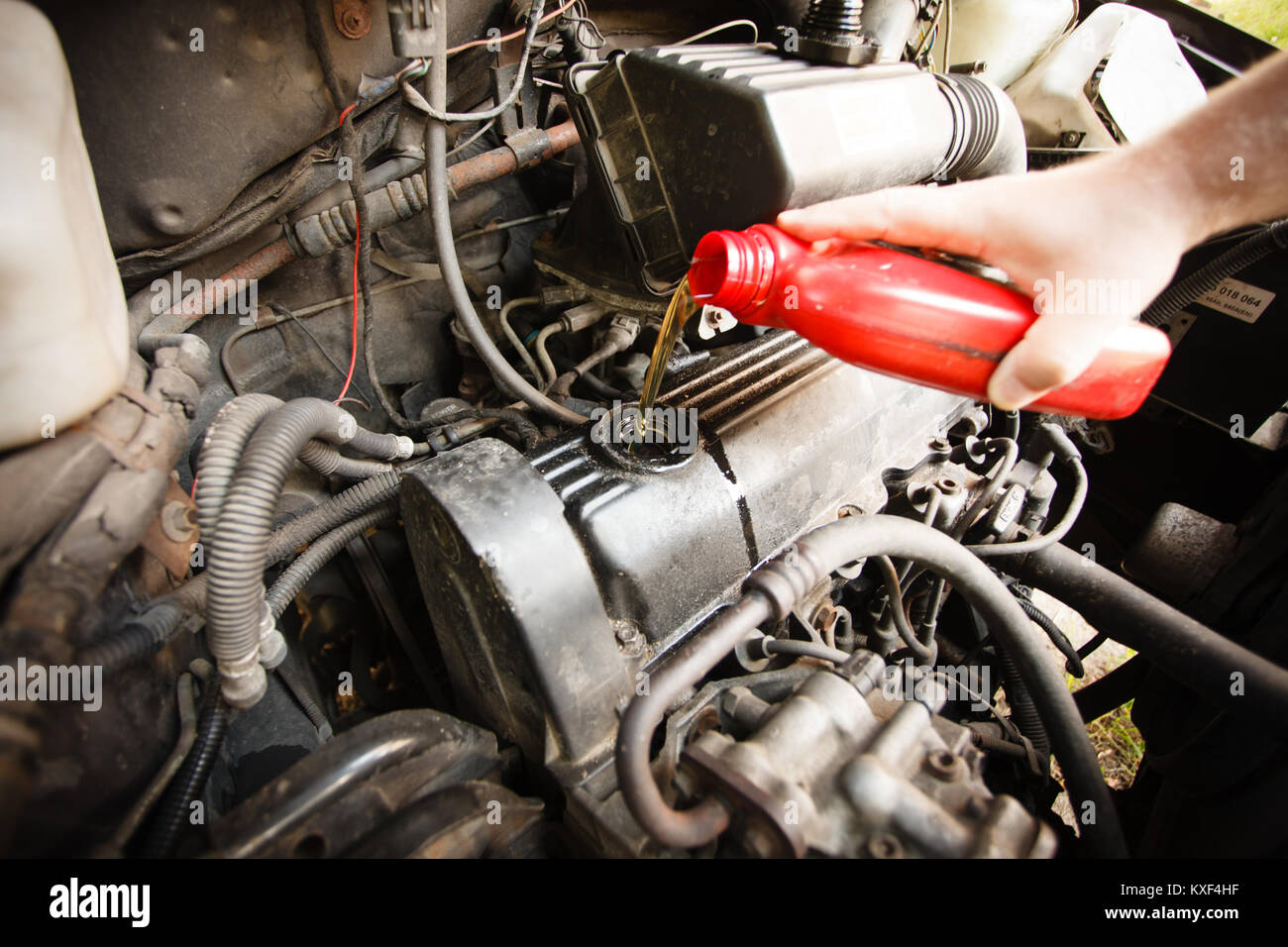 Car servicing mechanic pouring oil to engine. Closeup of fresh oil ...