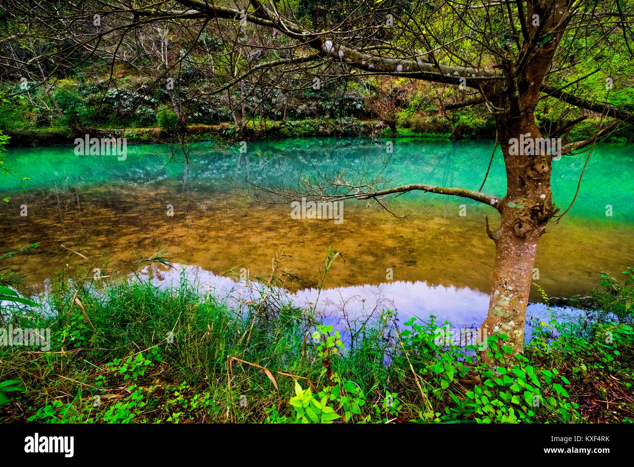 The Waterfall flowing to water stream in forest Stock Photo - Alamy