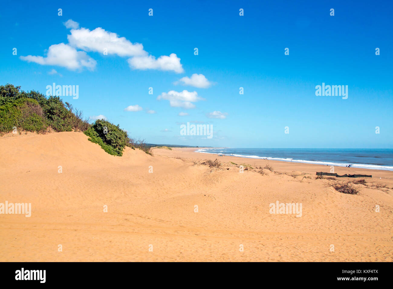 Empty beach sand and dune vegetation against ocean clouds and blue sky ...
