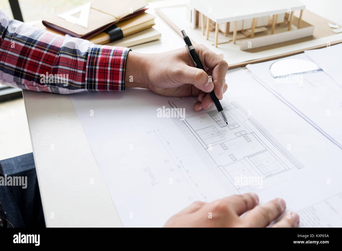 Structural diagram of human body hi-res stock photography and images ...