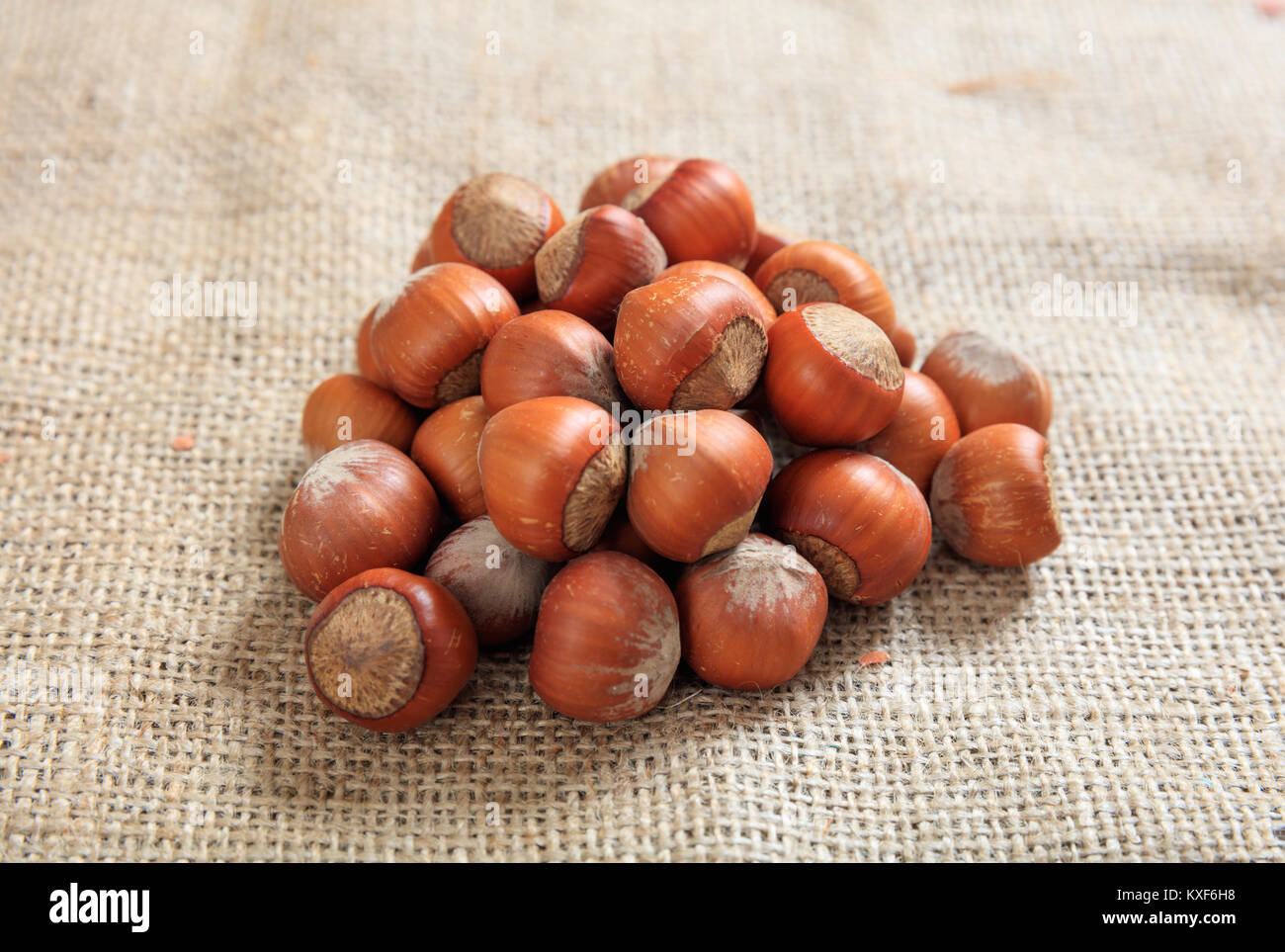 Heap of hazelnuts in shell on a burlap Stock Photo - Alamy