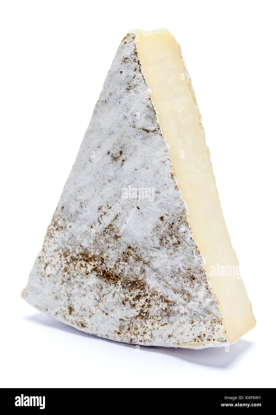 traditional french brie cheese on a white background Stock Photo - Alamy