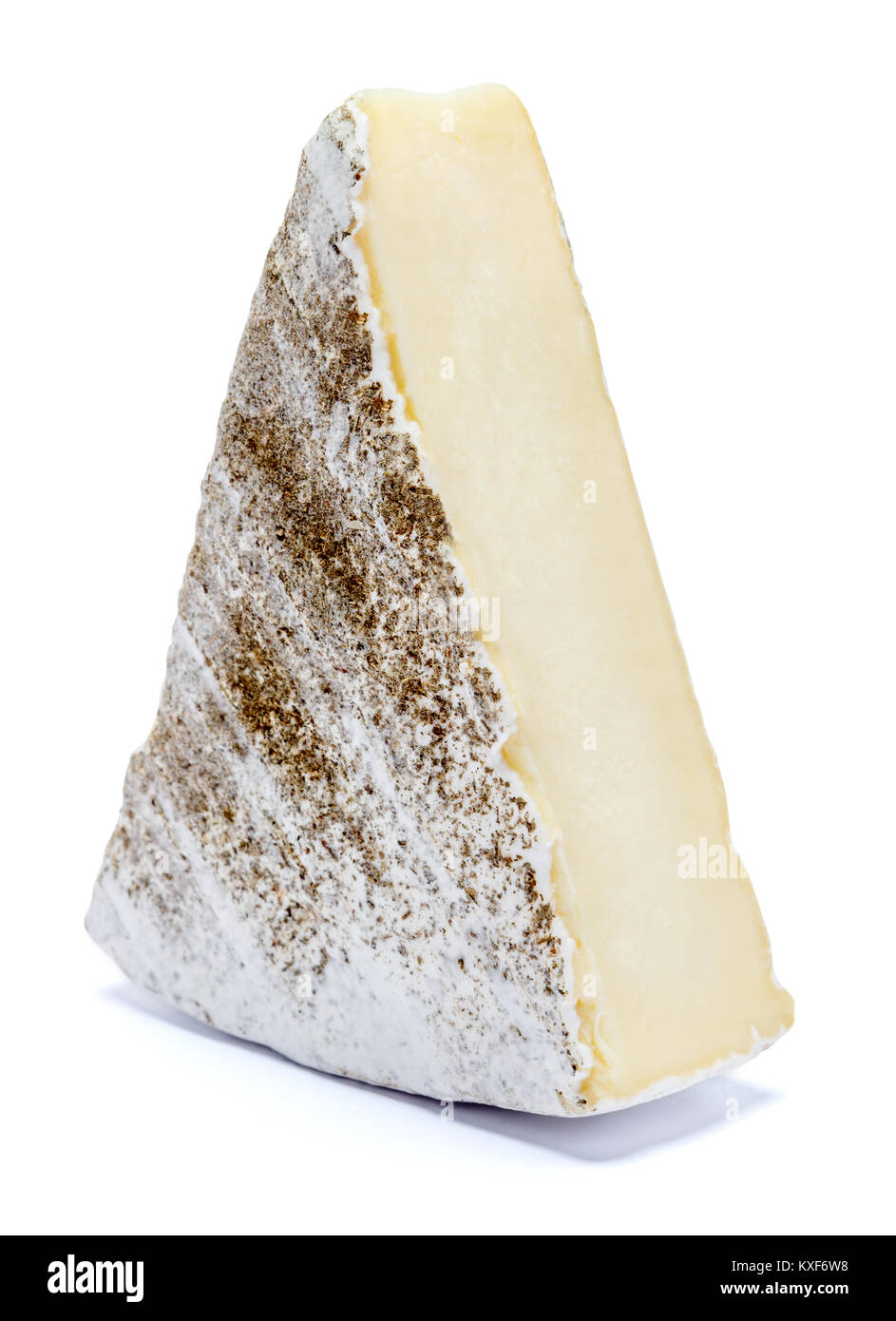 traditional french brie cheese on a white background Stock Photo - Alamy