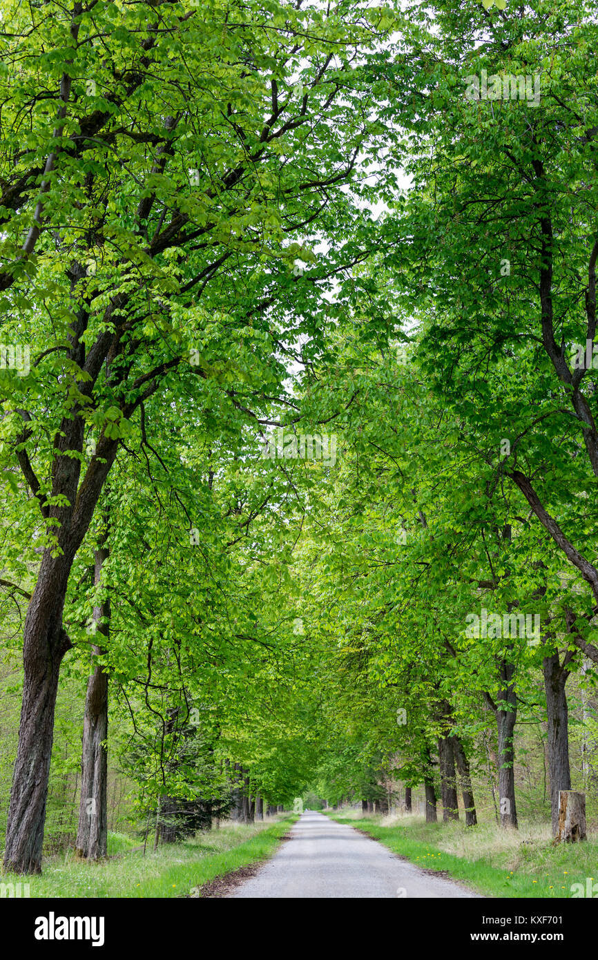 Low alley way street view hi-res stock photography and images - Alamy