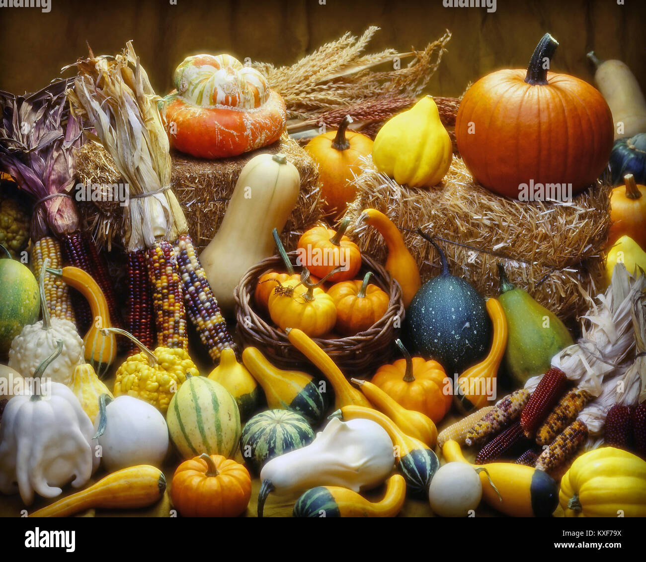 Fall Harvest of gourds, squash and pumpkins Stock Photo - Alamy