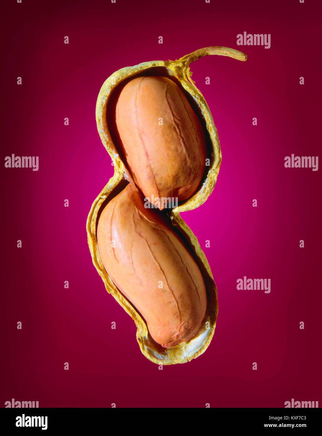 Peanut shell hi-res stock photography and images - Alamy