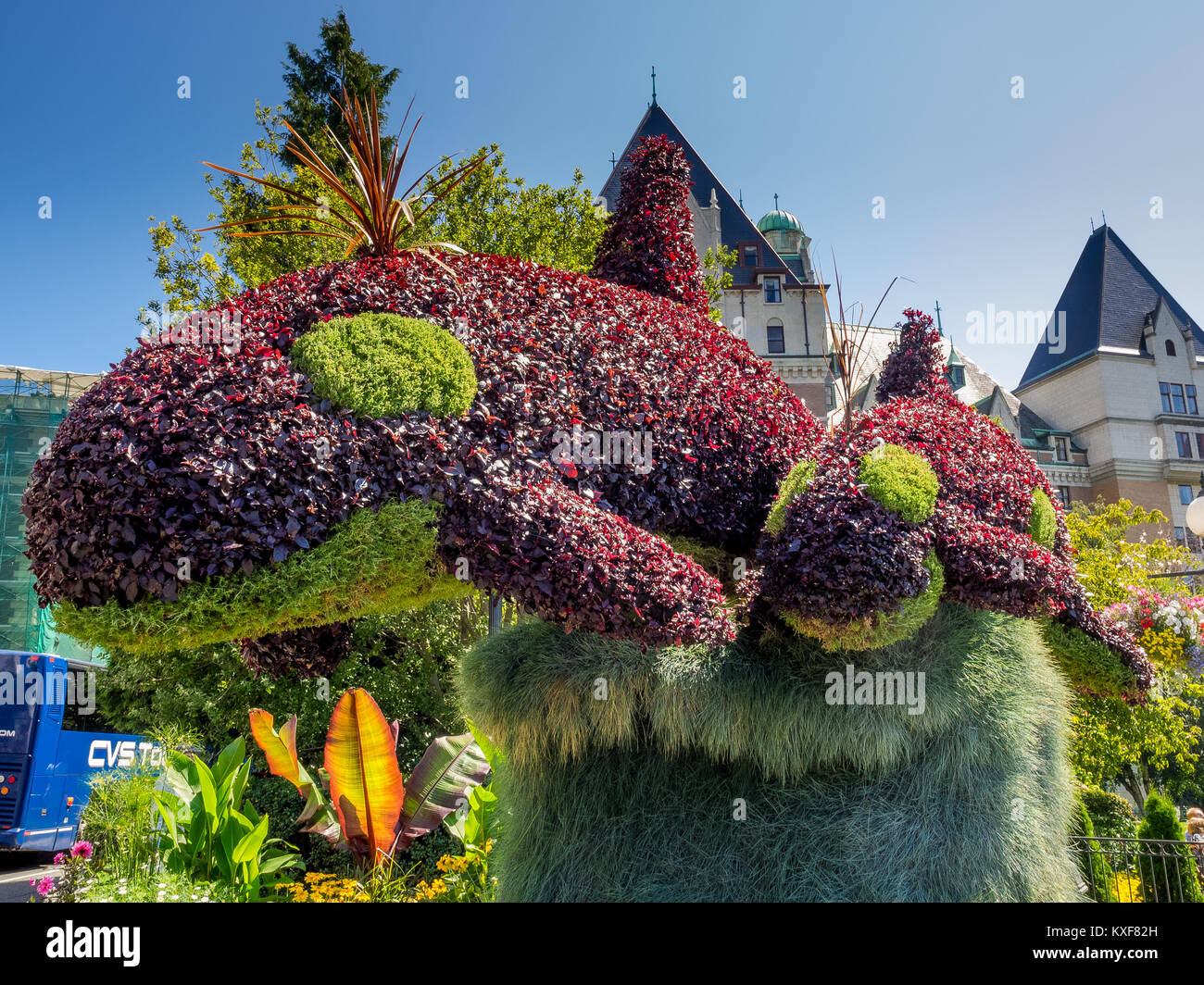Dolphin Shaped Topiary, Downtown Victoria, British Columbia, Canada ...