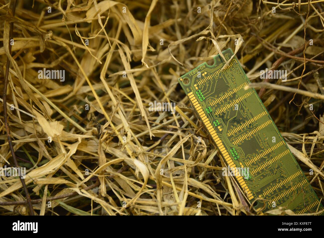 Loss of parts hi-res stock photography and images - Alamy