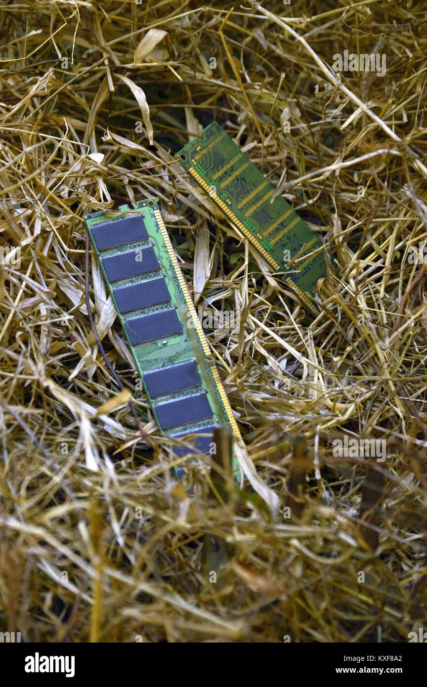 Loss of parts hi-res stock photography and images - Alamy