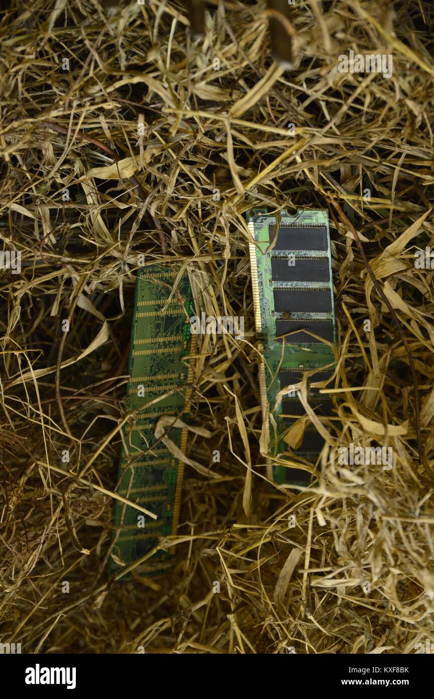 Loss of parts hi-res stock photography and images - Alamy