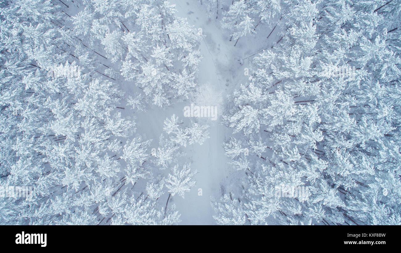 Snowy winter nature. Forest covered by snow from above. Aerial view of ...