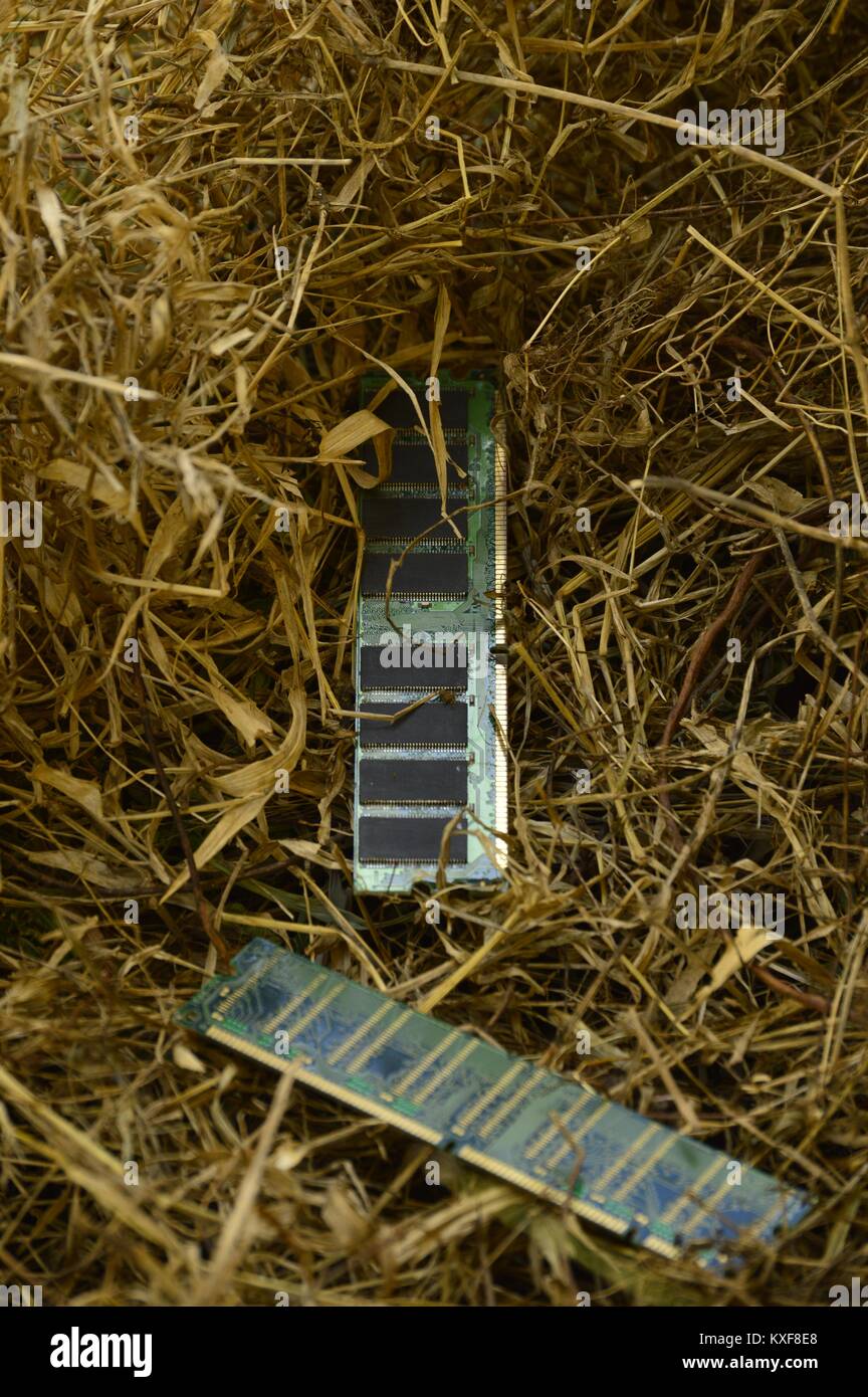 Loss of parts hi-res stock photography and images - Alamy