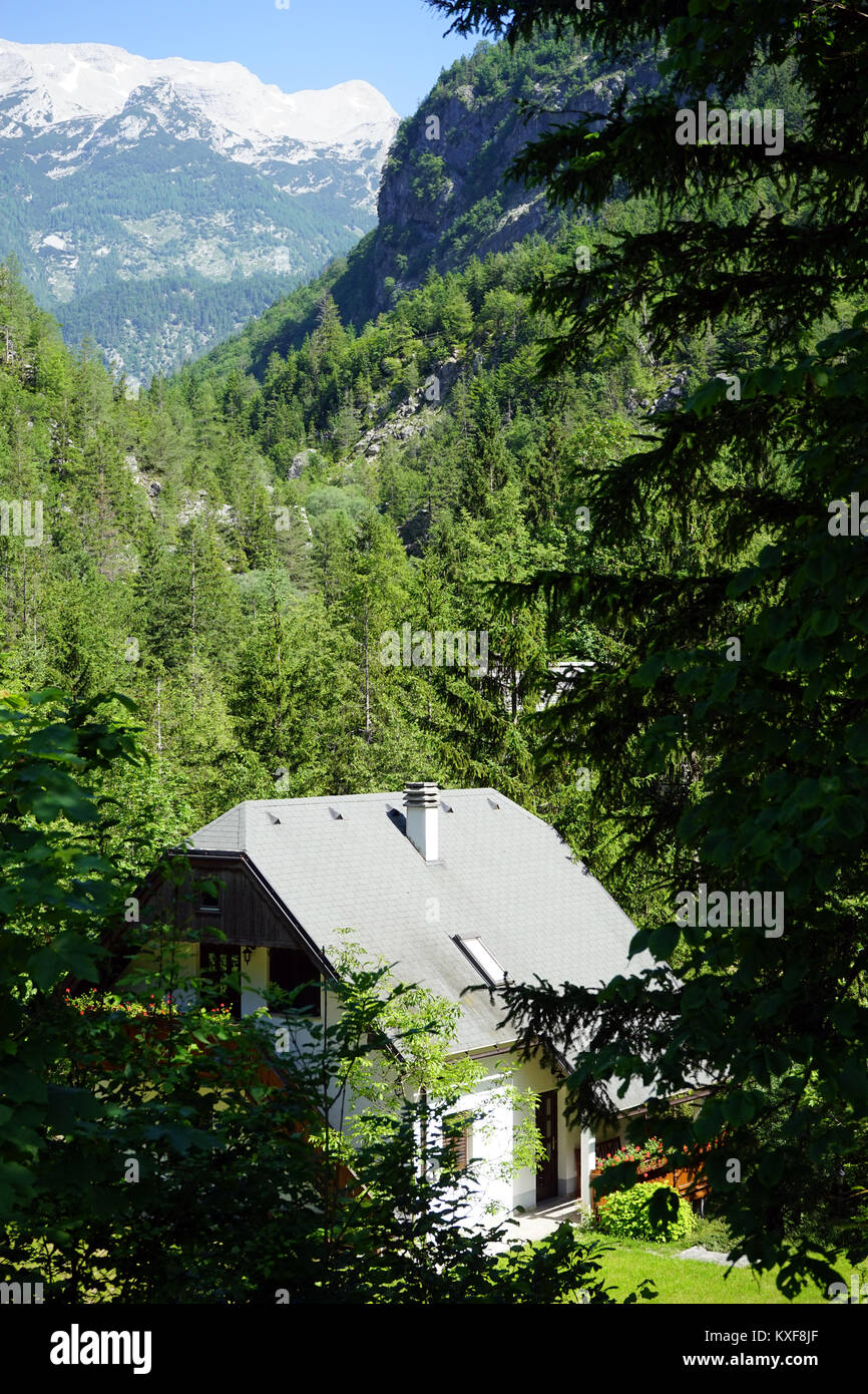 Farm house in the forest in Alps, Slovenia Stock Photo - Alamy