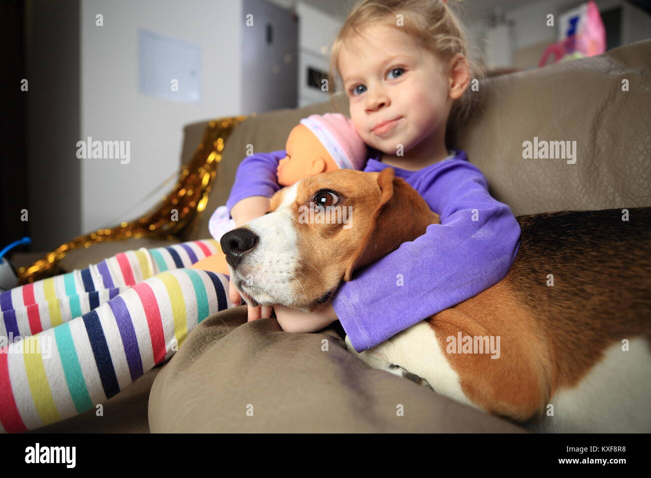 Girl hugs her beagle pet dog. Little girl with her dog on couch. Girl ...