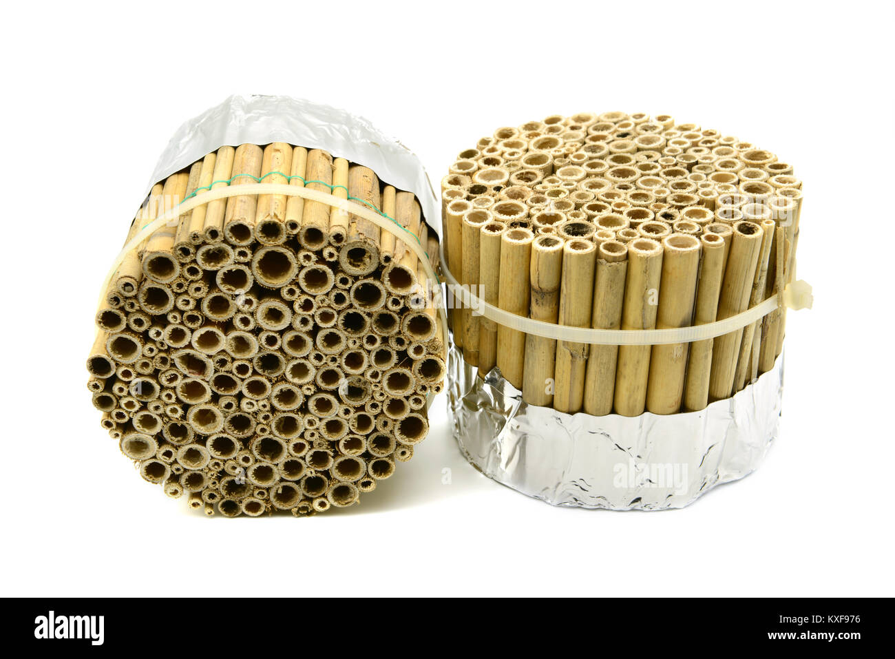 building an insect hotel with reed and bamboo sticks on white isolated ...