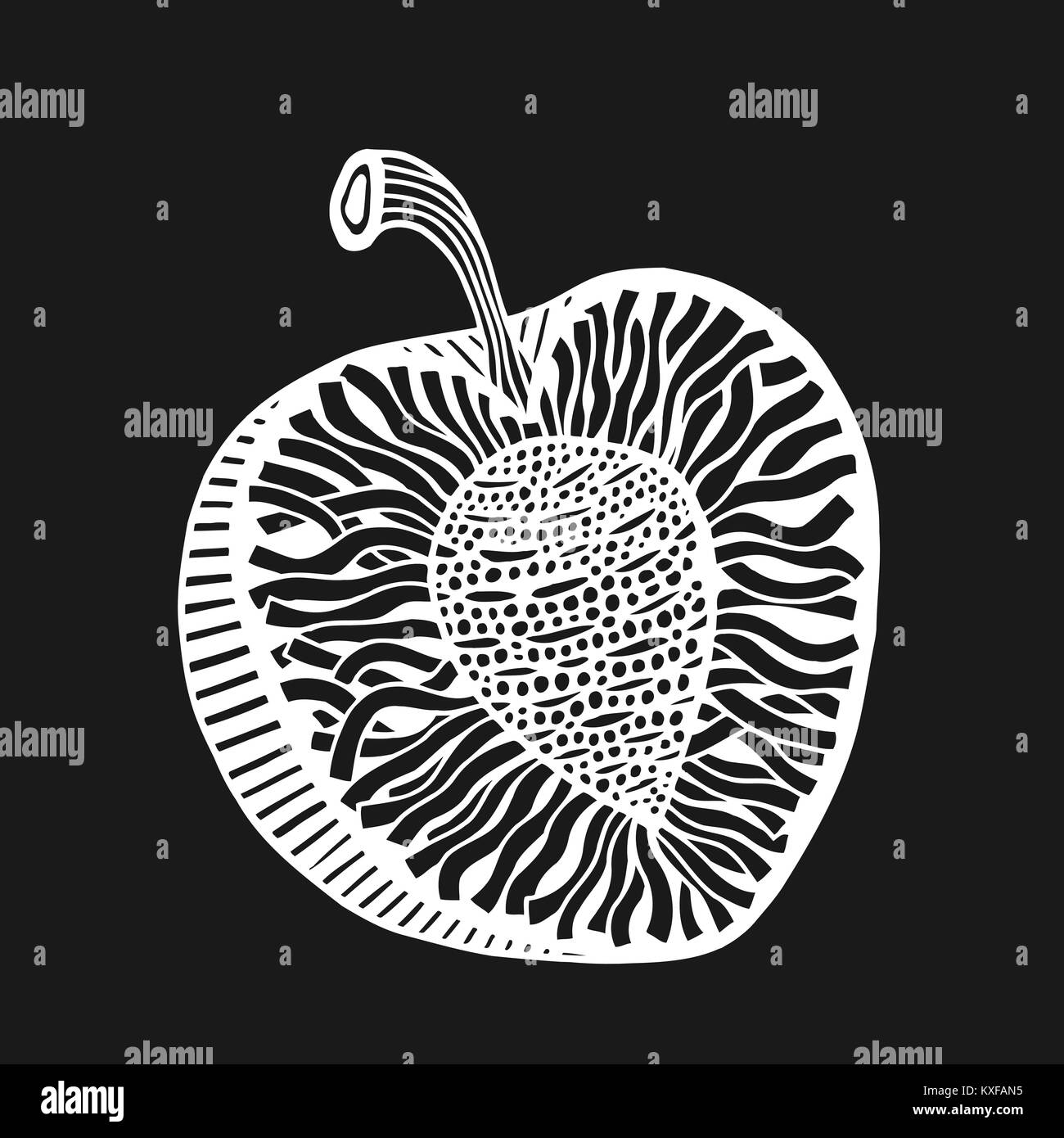 peach Isolated on a black background. Hand-drawn, doodle, vector. Black ...