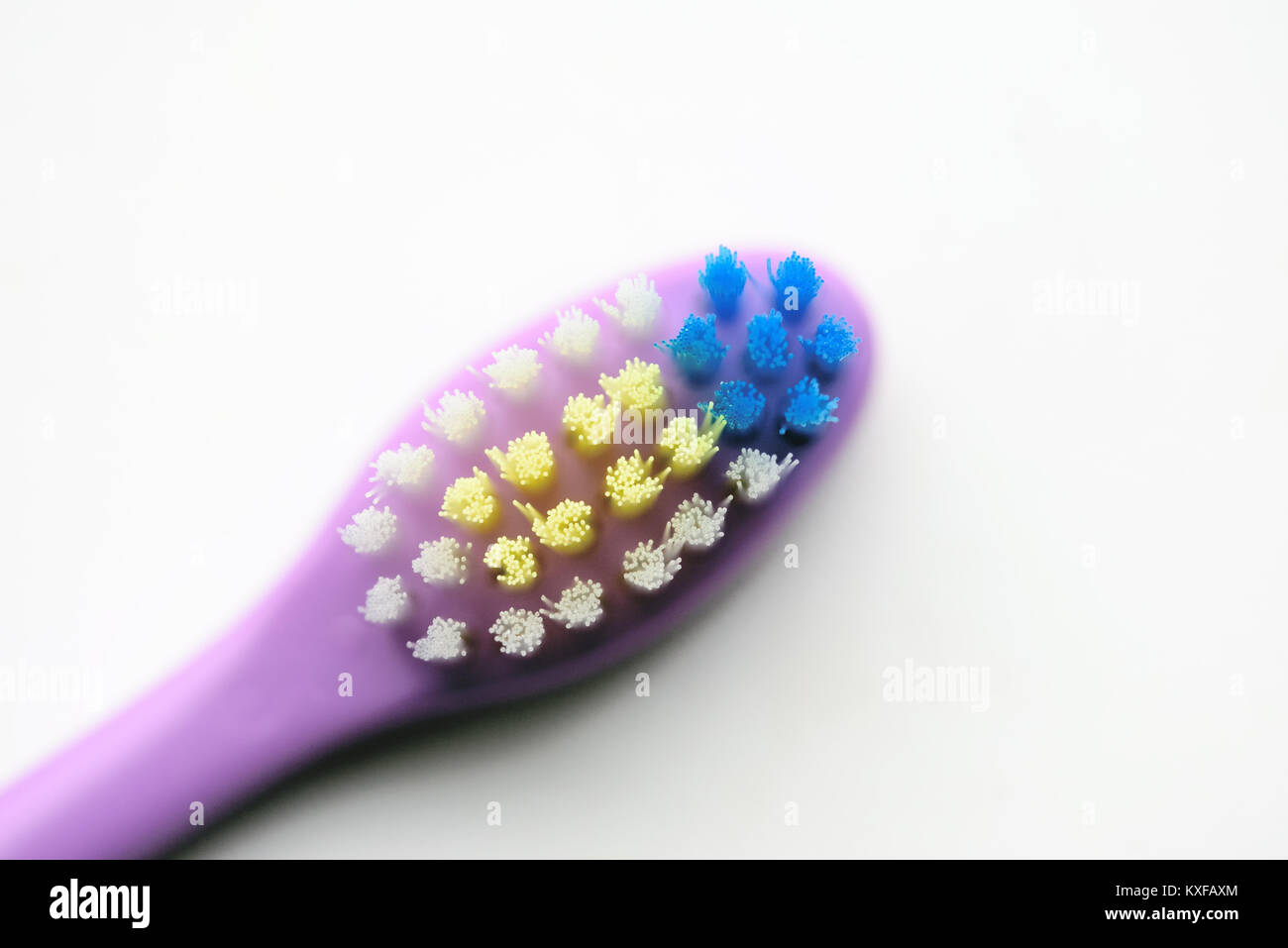 New purple toothbrush and brush in a macro close-up with multicoloured ...