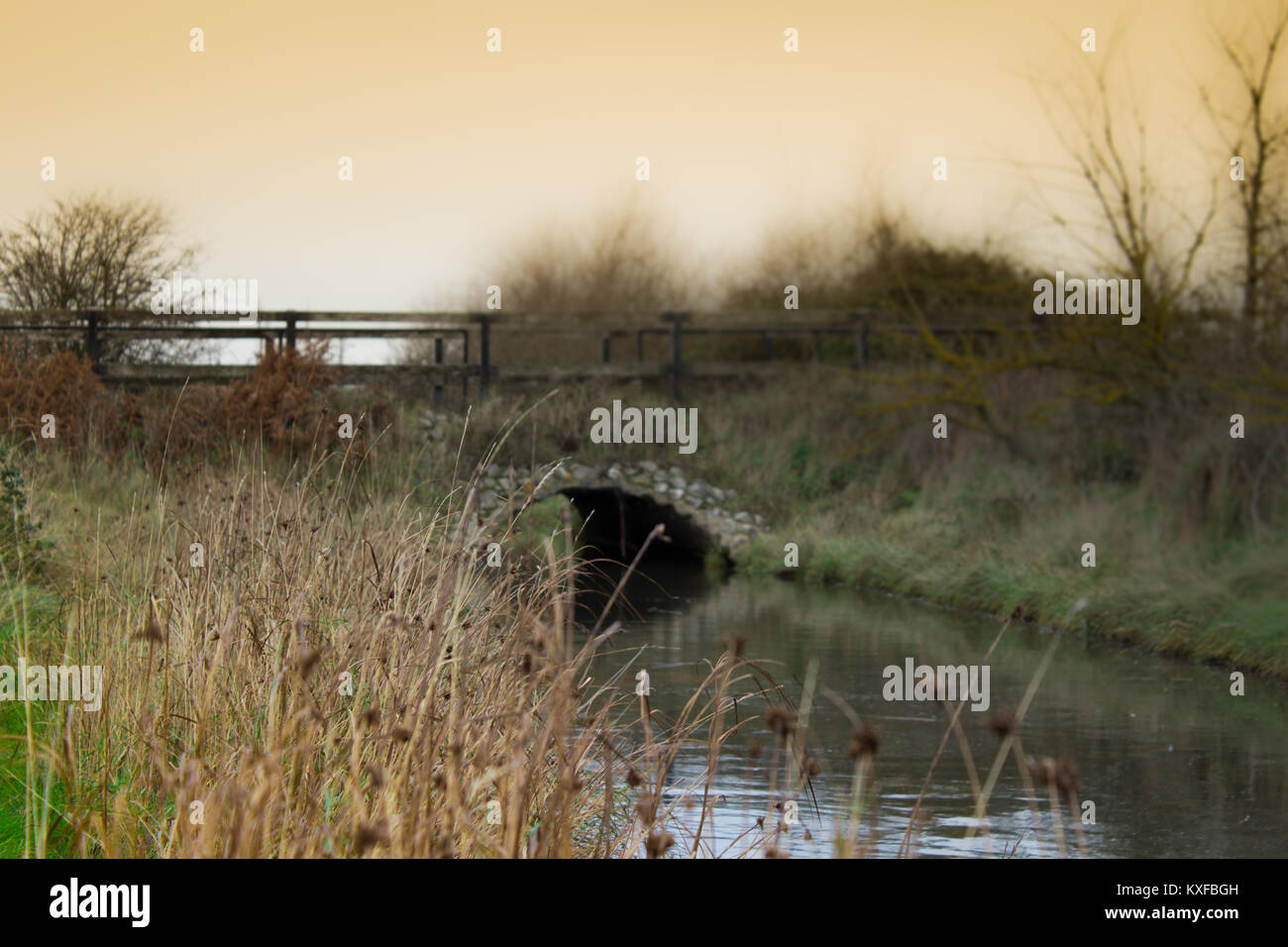 Small stone bridge over shallow river with teasel in forground Stock ...