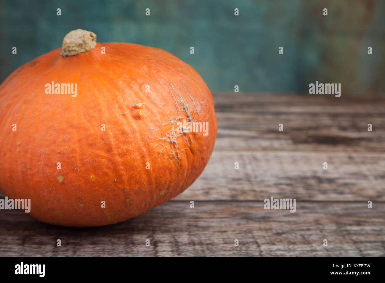 Hubbard squash hi-res stock photography and images - Alamy