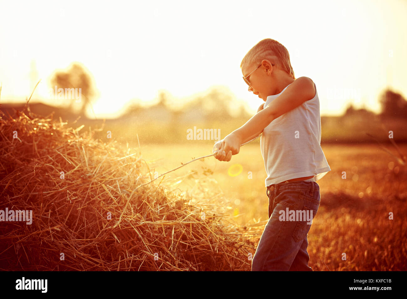 Pile of hay hi-res stock photography and images - Alamy