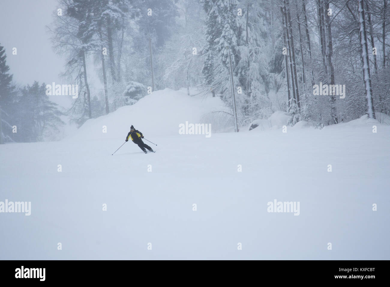 Skier on piste running downhill in beautiful hoarfrost winter landscape ...
